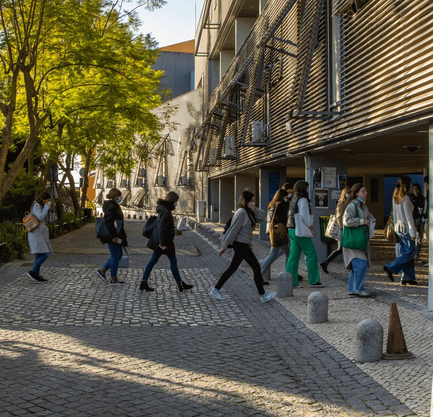 Egas Moniz - Cooperativa de Ensino Superior